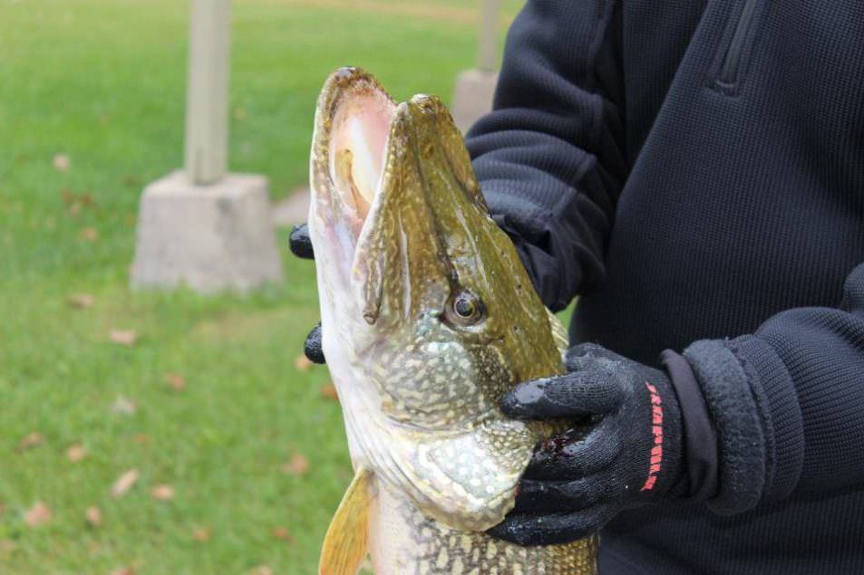 The Bluegill Capital of Wisconsin - MidWest Outdoors