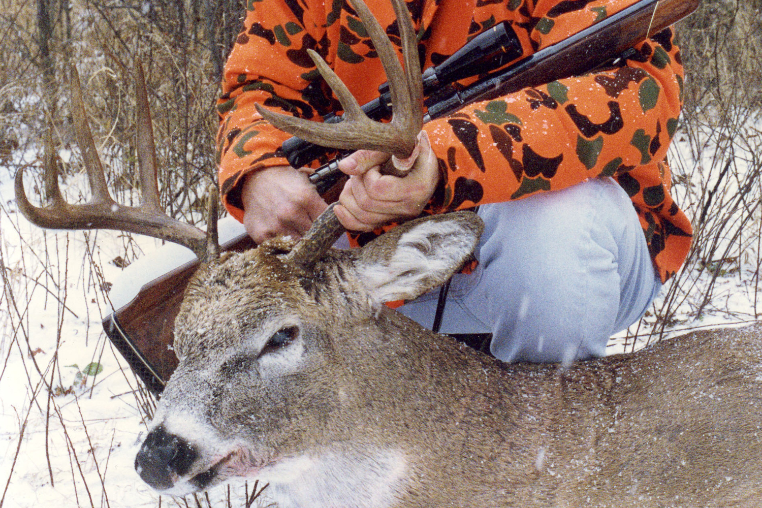 Little-known Facts Every Whitetail Hunter Should Know, Part Three ...