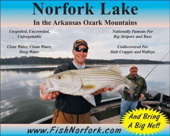 Norfork Lake - MidWest Outdoors