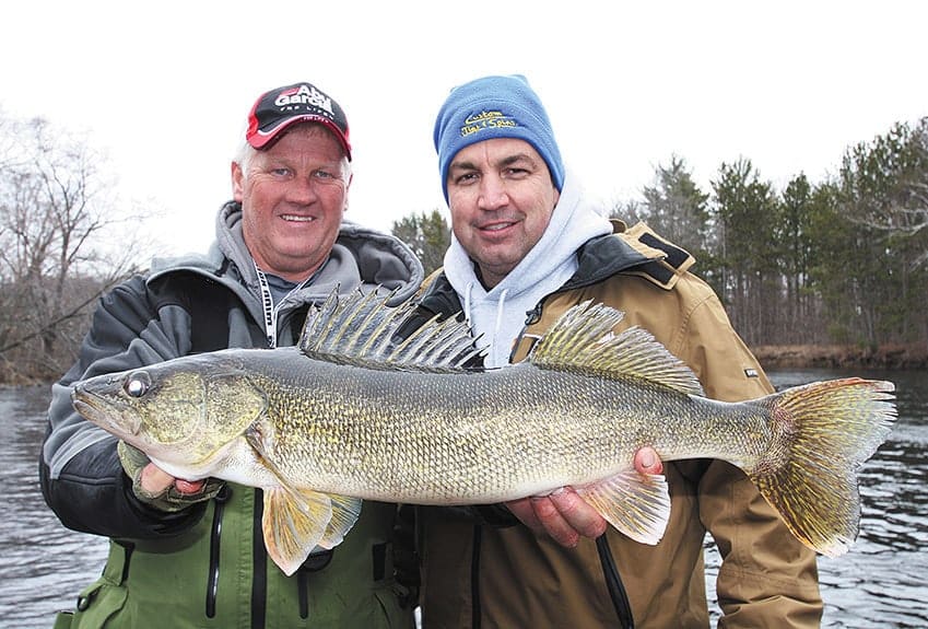 Matan-WalleyeTheRing2 - MidWest Outdoors