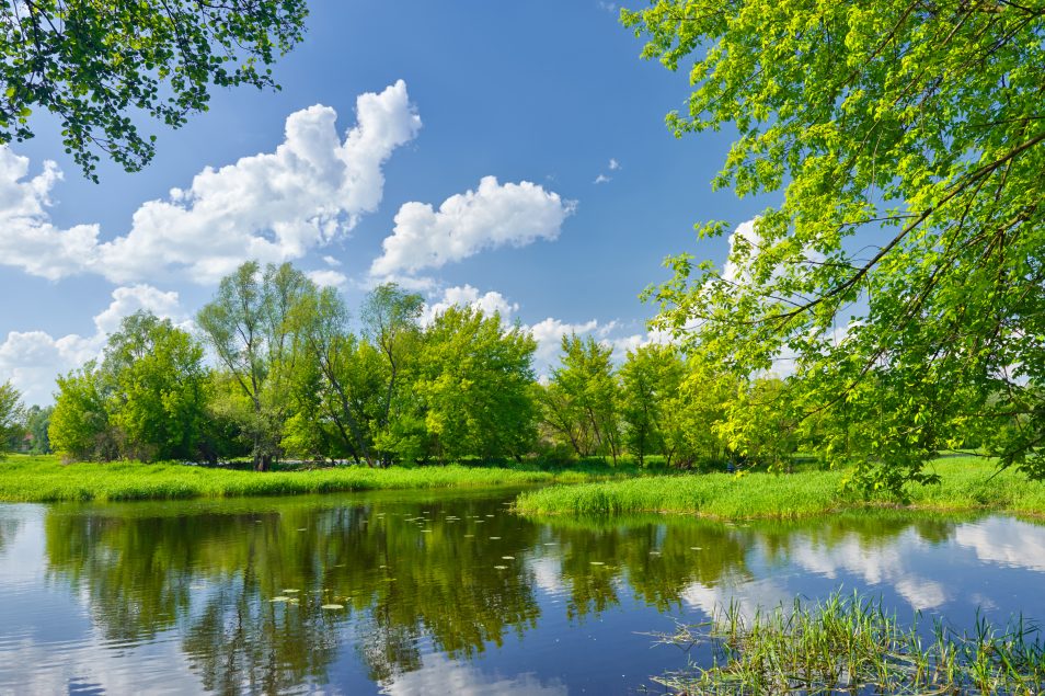 Spring landscape with Narew river and clouds on the blue sky - MidWest ...