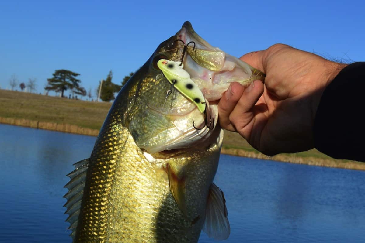 Galusha-FishNTales417-2FEATURE - MidWest Outdoors