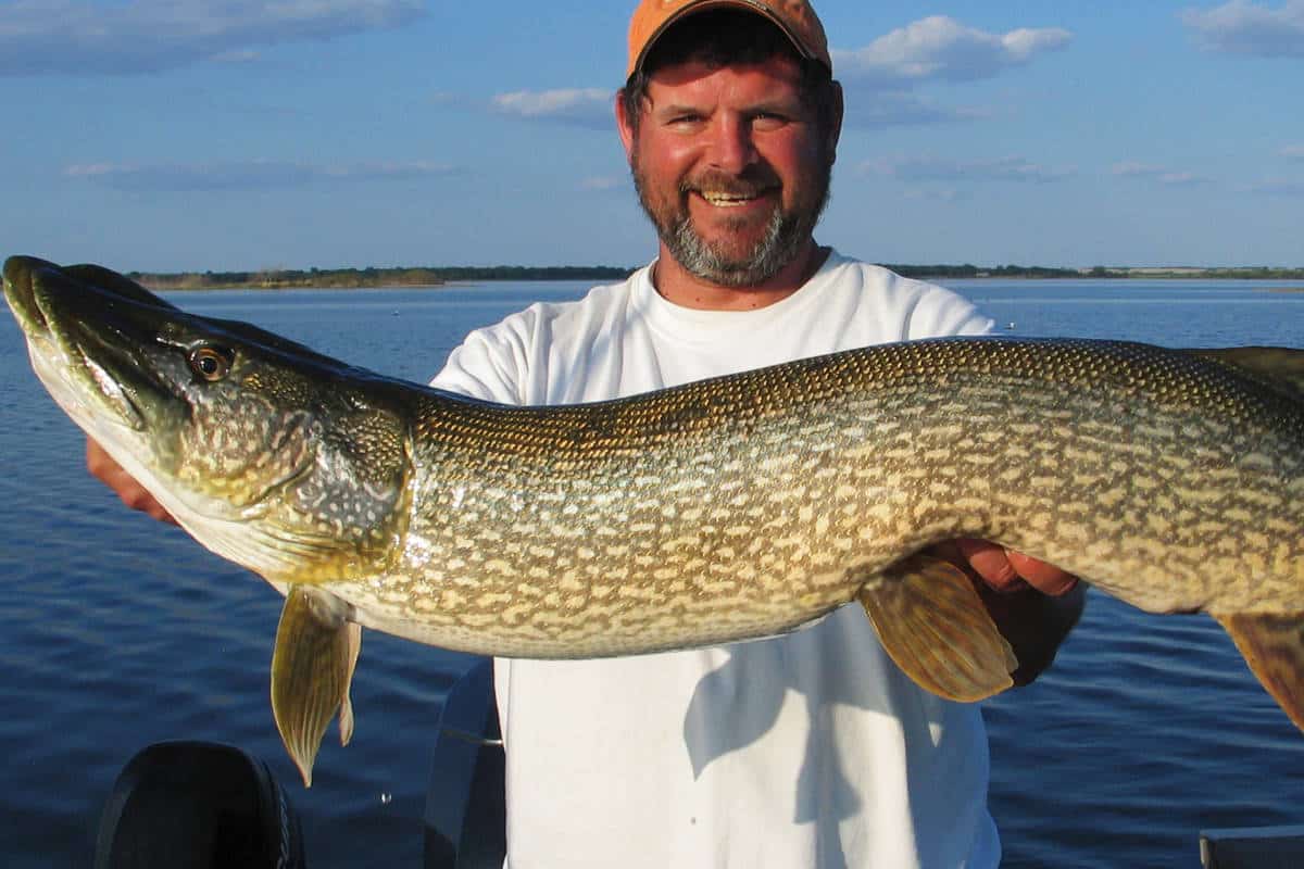 Pyzer-Secrets of Pike1Feature - MidWest Outdoors