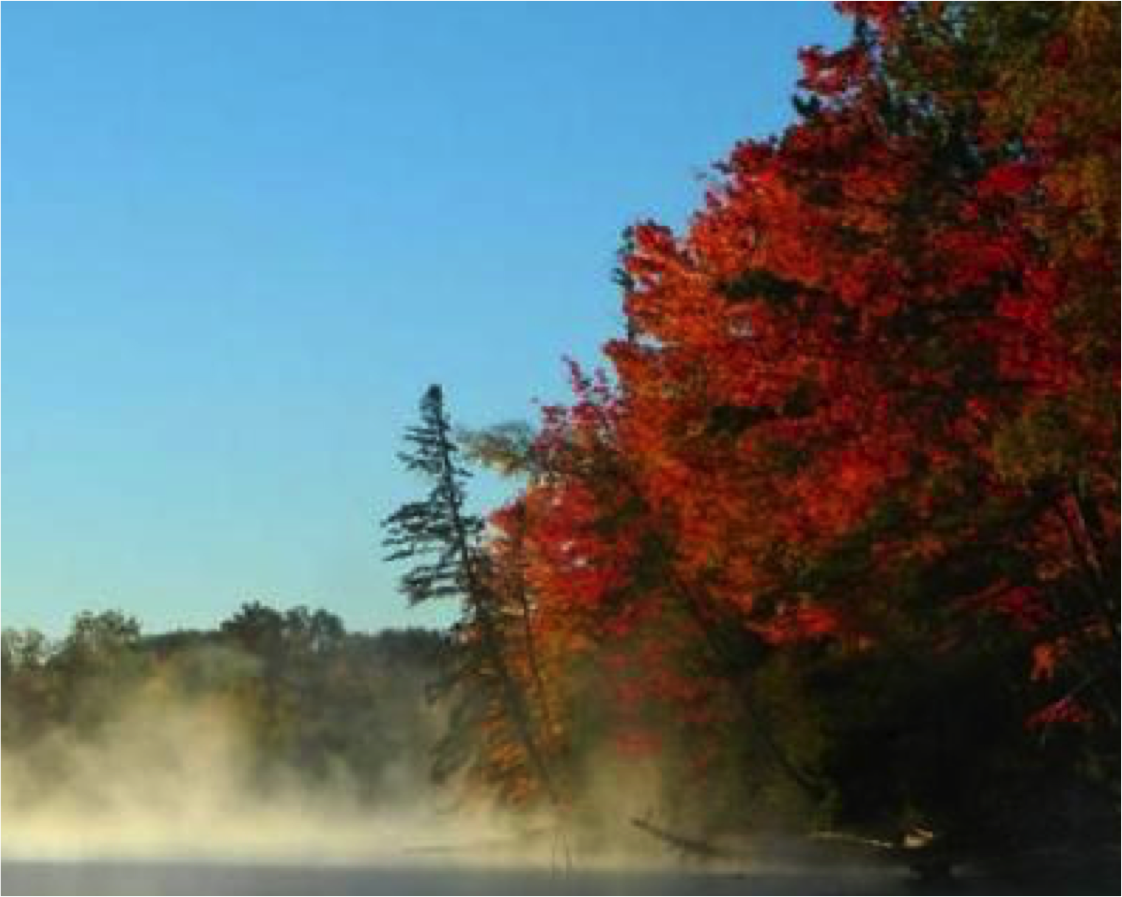 St. Germain, Wisconsin — You've Arrived - MidWest Outdoors