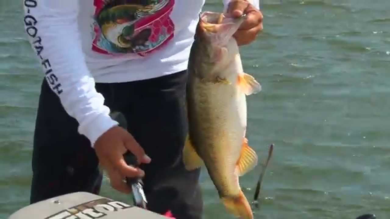 Mexico bass action - MidWest Outdoors