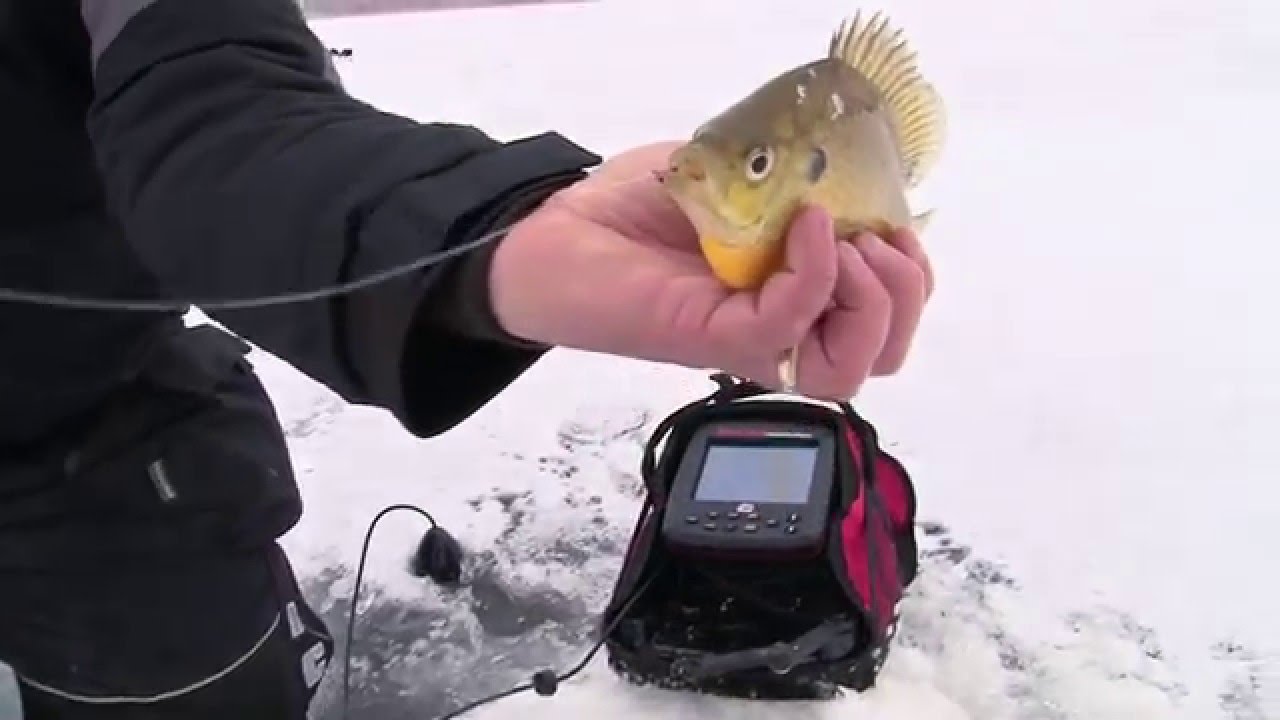 Small Lake Panfish on First Ice in Minnesota. - MidWest Outdoors