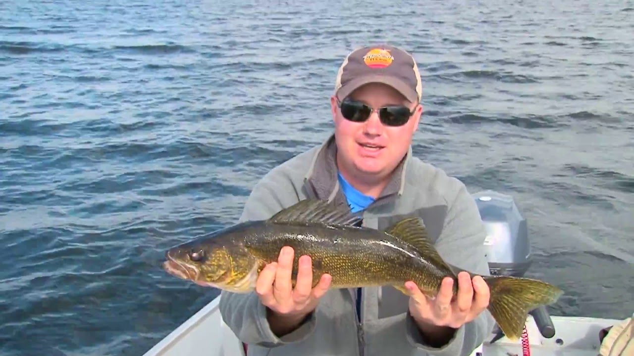 Ontario Walleye - MidWest Outdoors