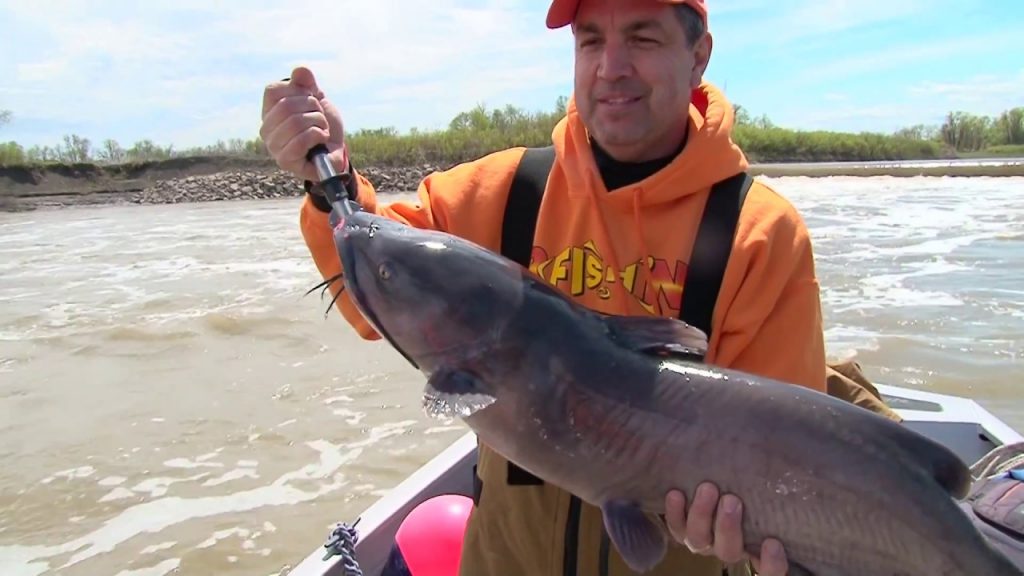 1633 – Red River Catfish with the Rippin Lips Crew - MidWest Outdoors