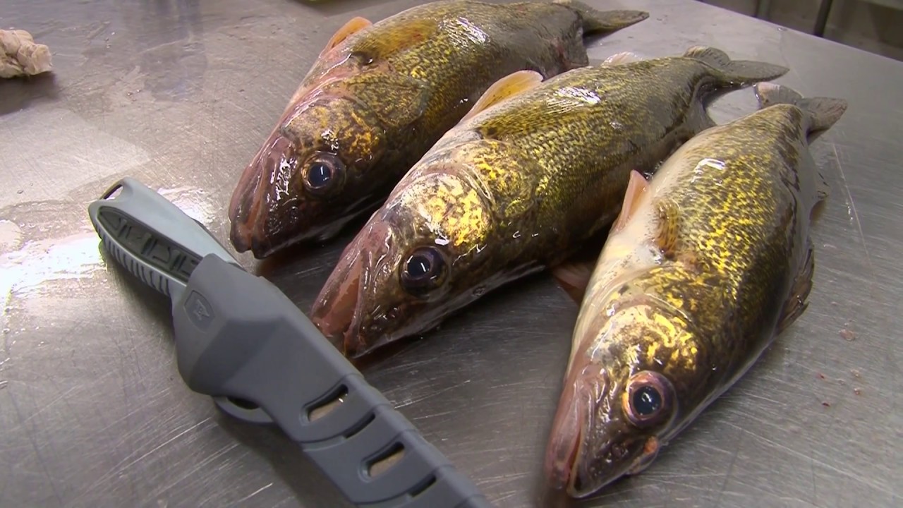 Evening Walleye Fishing on Devils Lake - MidWest Outdoors