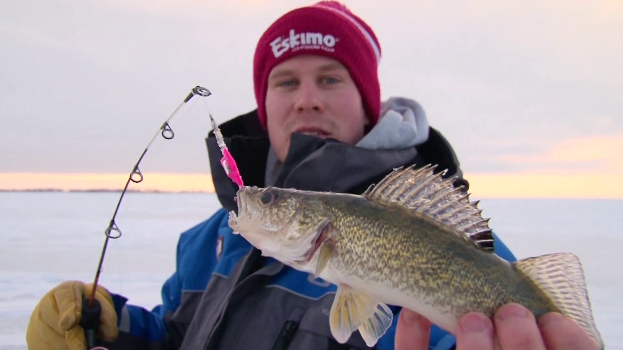 Icing Perch and Walleyes at Devils Lake, North Dakota - MidWest Outdoors