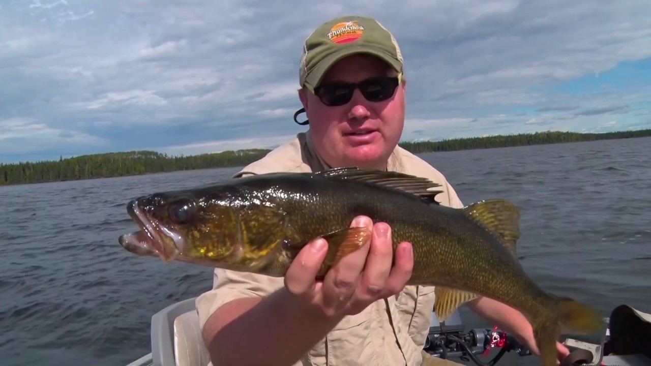 Fly-In Walleye Action on Machawaian Lk, Ontario - MidWest Outdoors