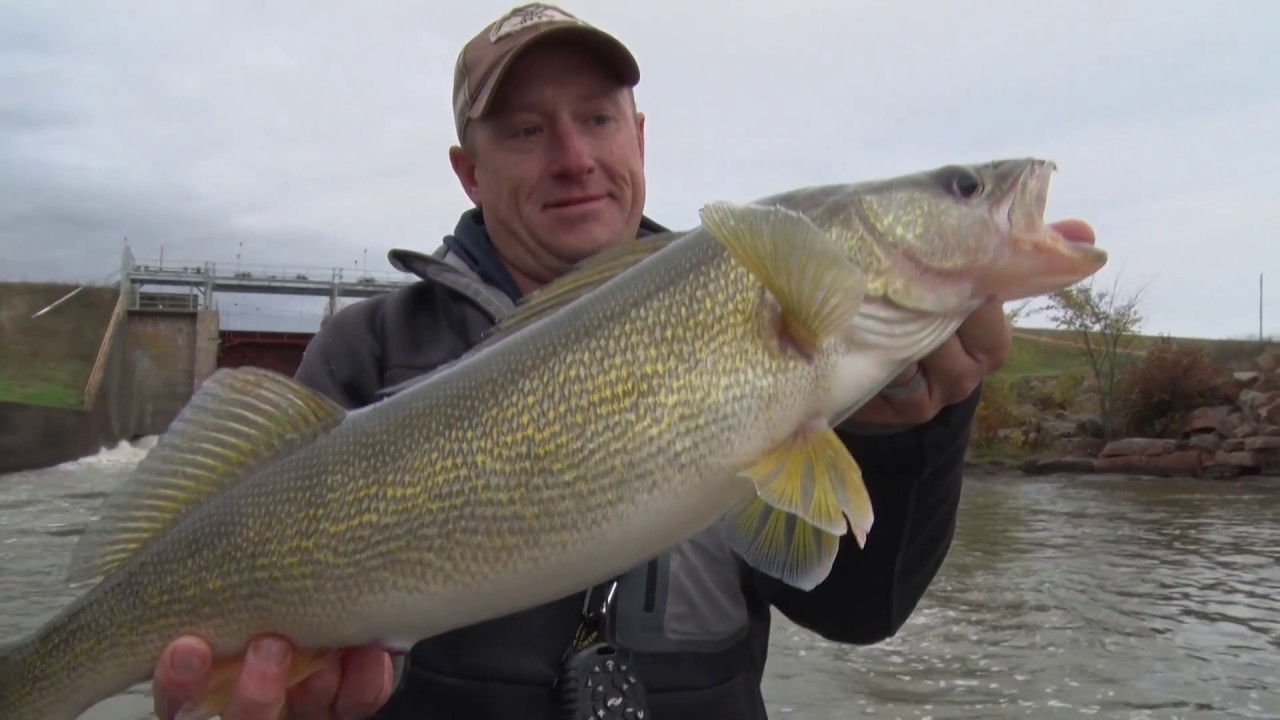 Wisconsin River Mixed Bag - MidWest Outdoors