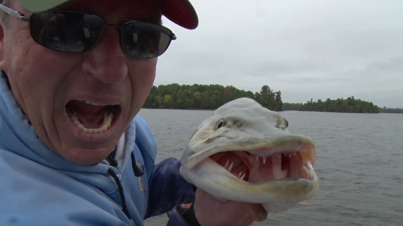Muskie Teeth
