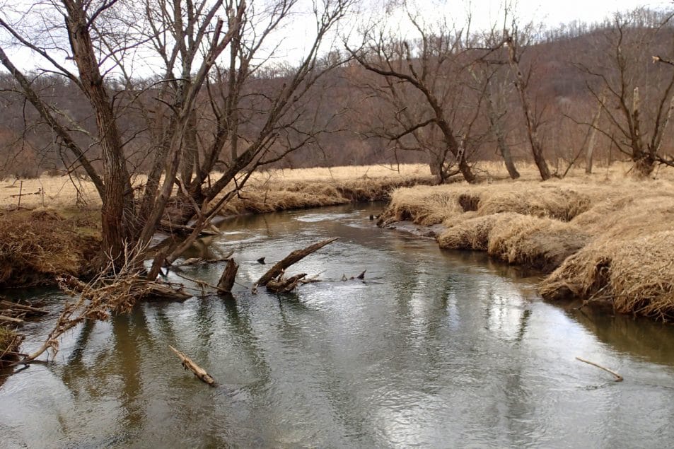 Trout Angling 101: Planning Your Season - MidWest Outdoors