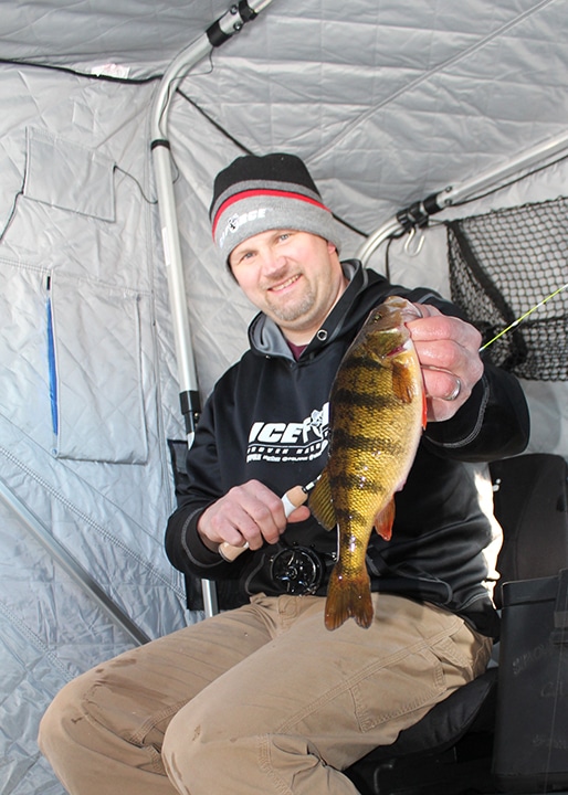 Picking Away at Perch in Prime Areas - MidWest Outdoors