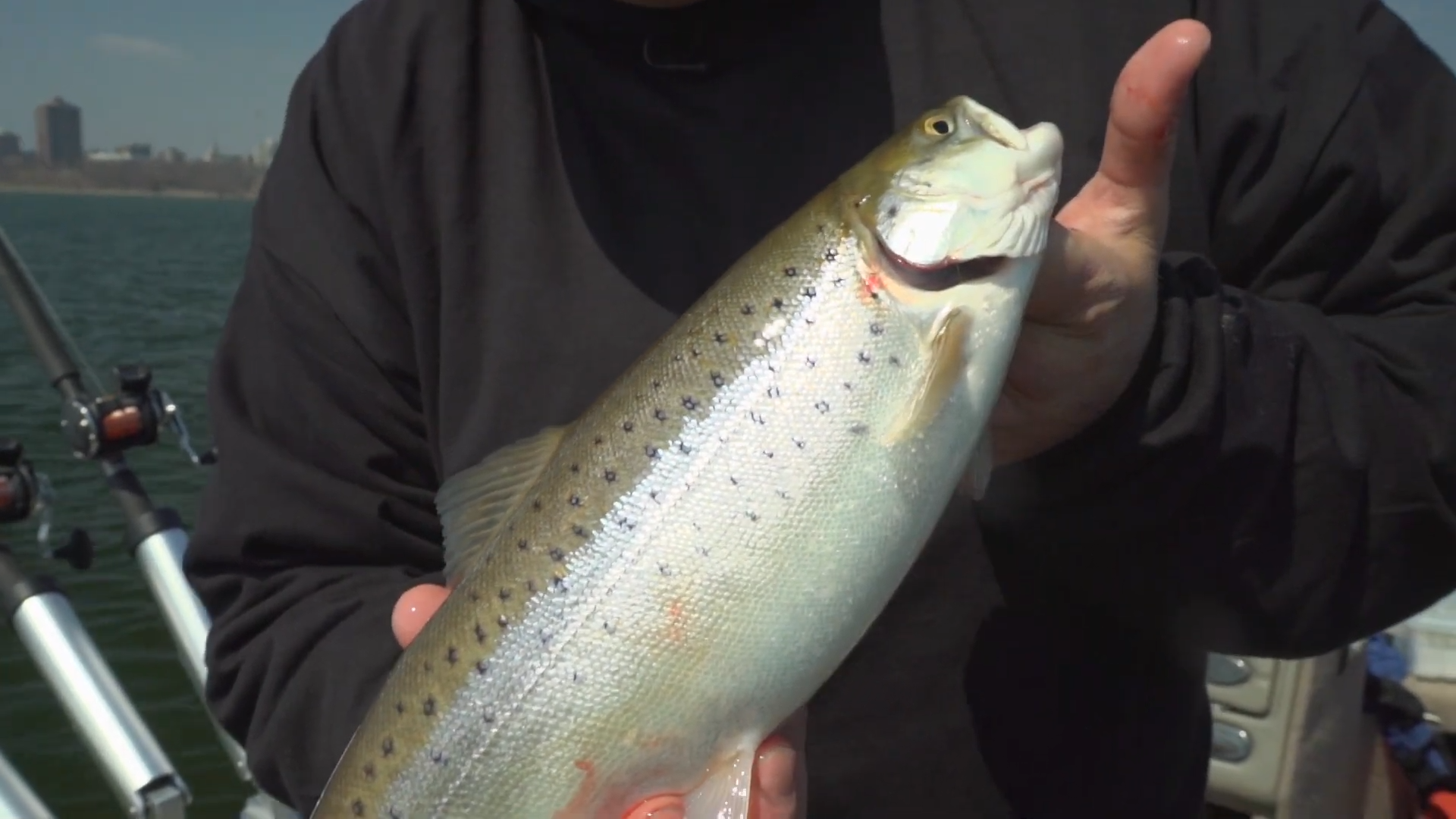 Spring Lake Michigan Brown Trout Fishing - MidWest Outdoors