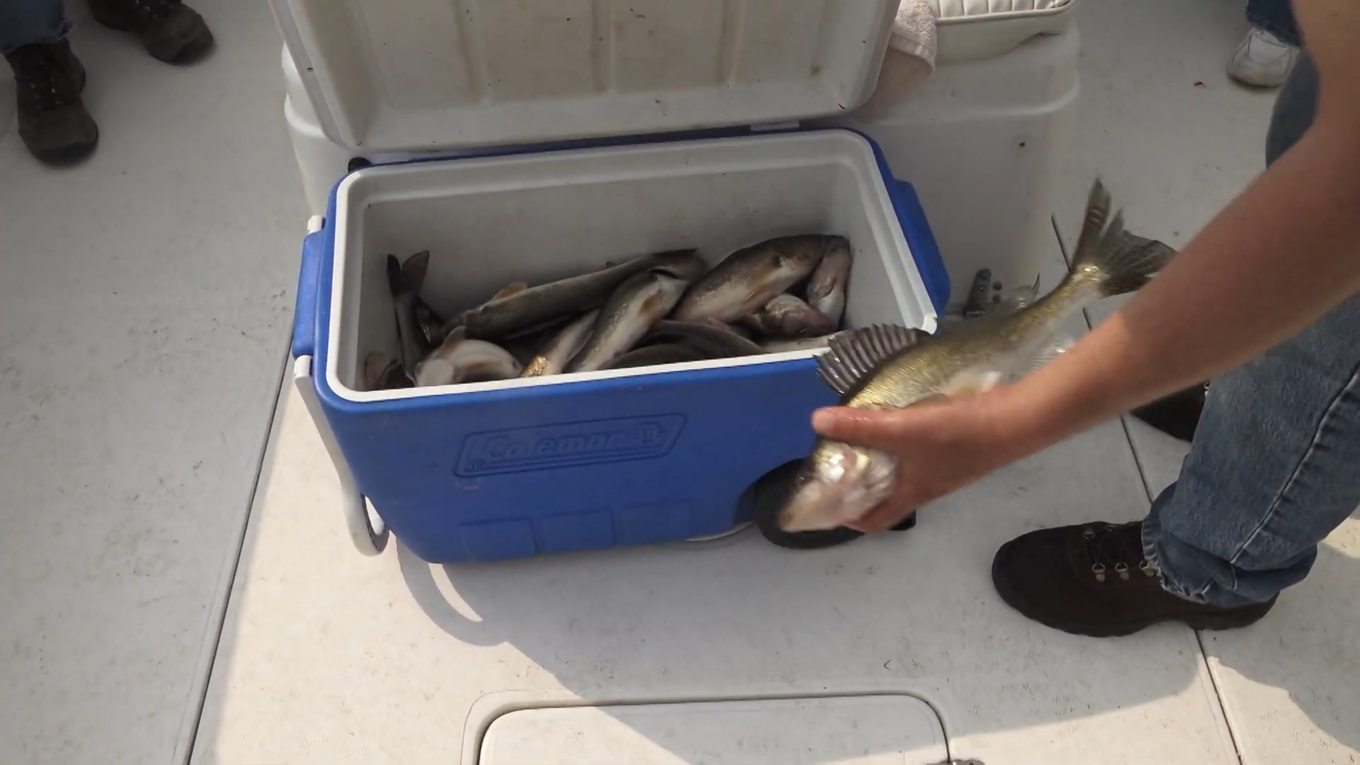 Jigging for Walleyes on Lake of the Woods - MidWest Outdoors