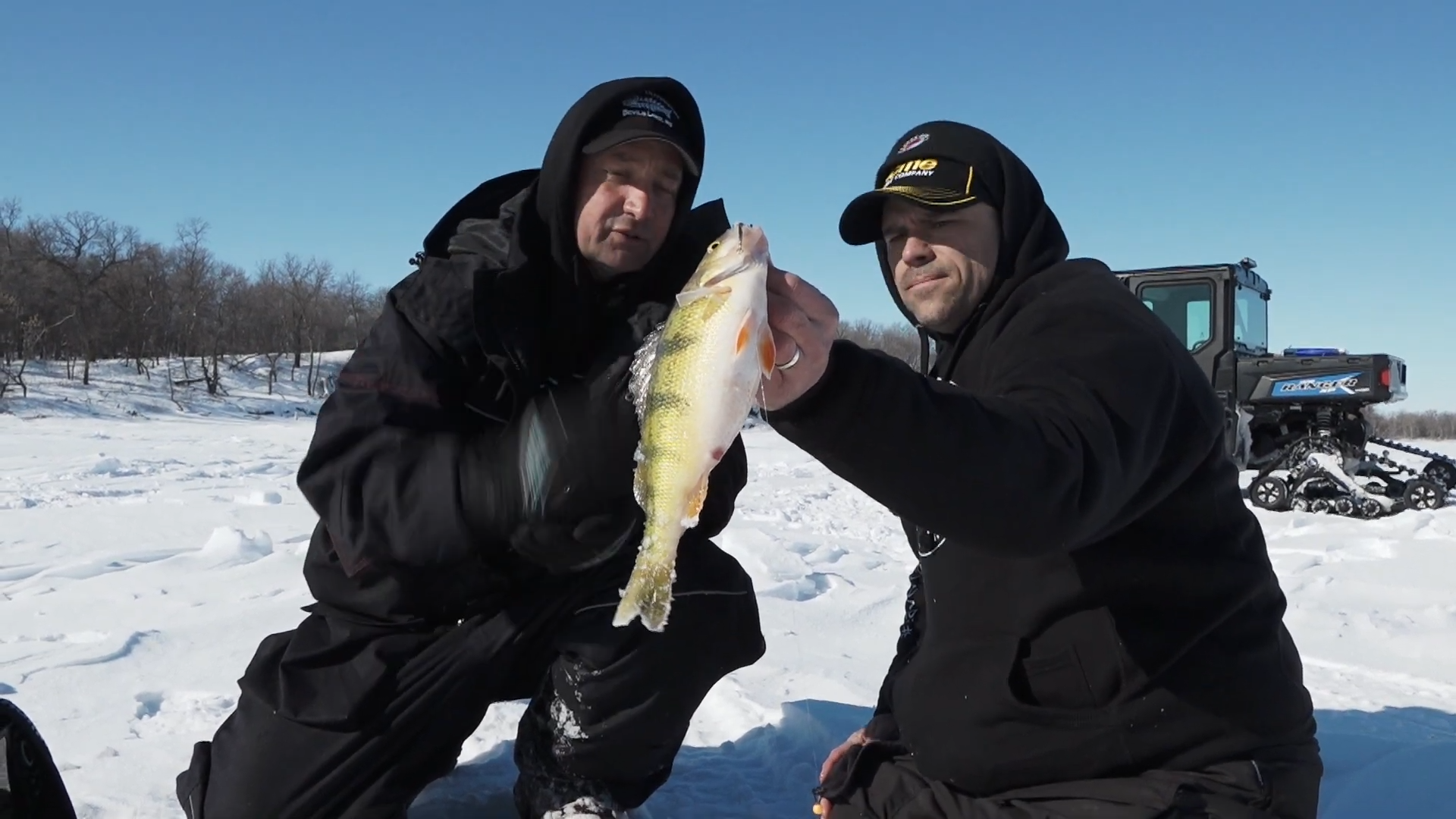 Perch at Devils Lake - MidWest Outdoors