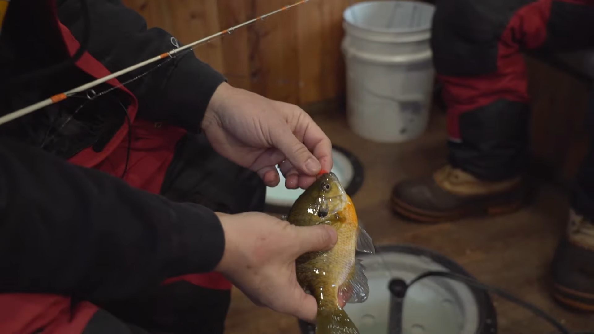 Panfish on Hayward Lake - MidWest Outdoors