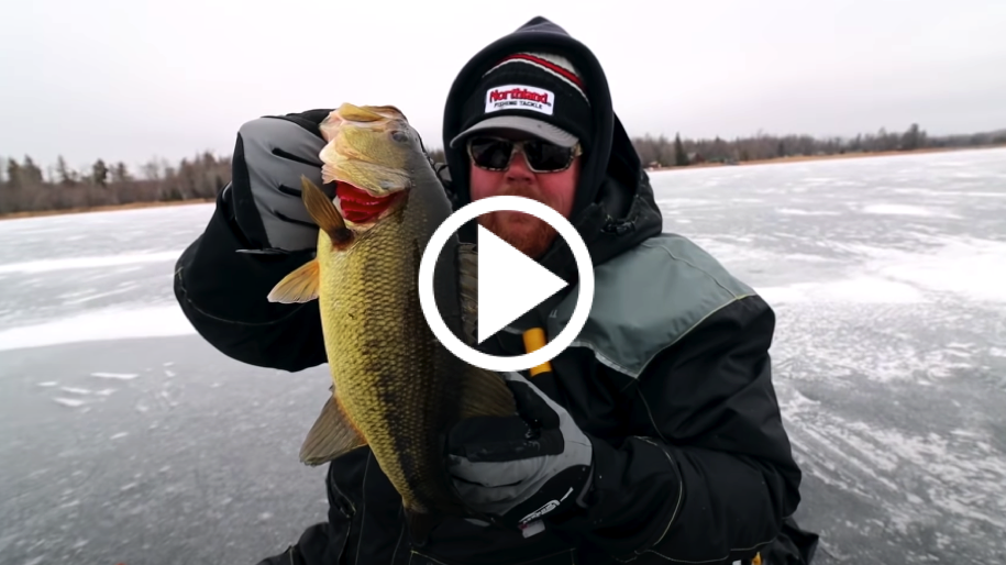 Addicted to Bites on Ice | Northland Fishing Tackle