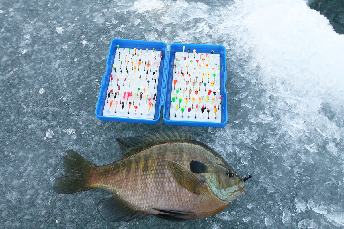 Mix Up Your Ice Jig Selection this Winter - MidWest Outdoors