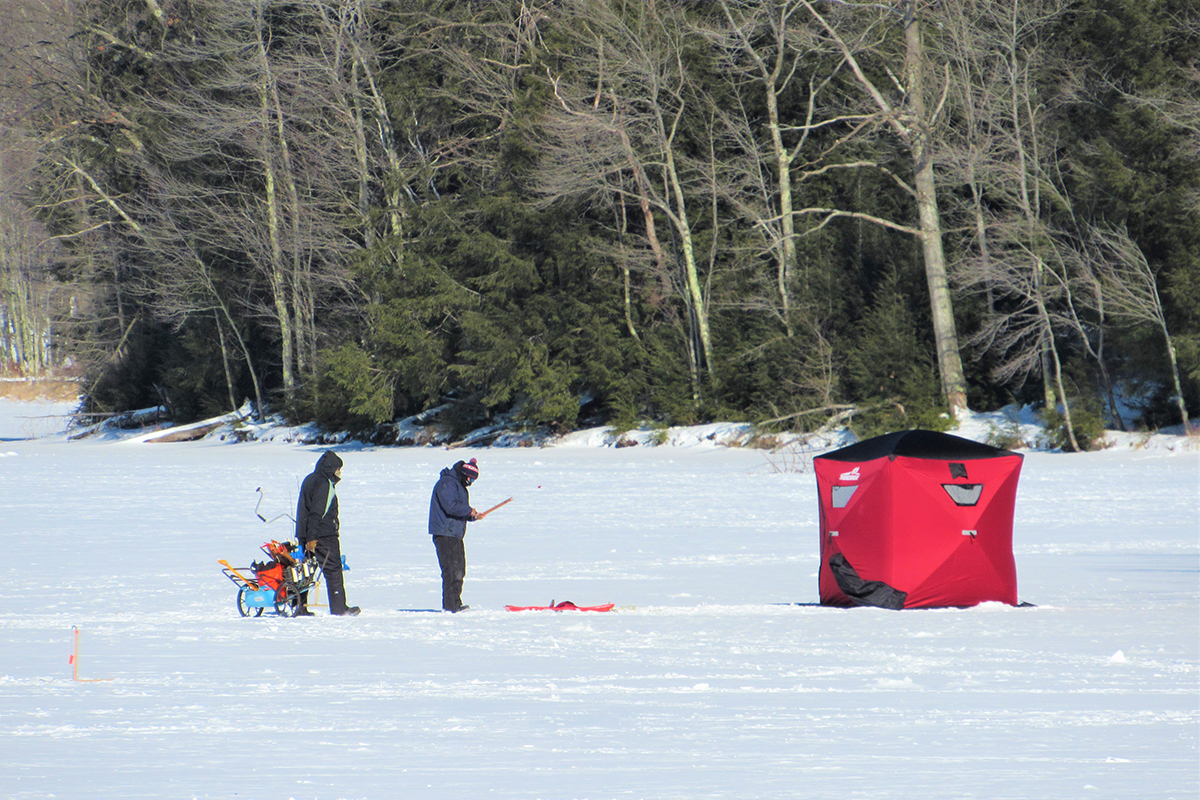 High Noon for Winter Perch - MidWest Outdoors