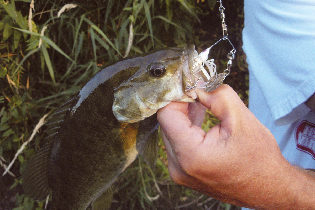 Bridge Fishing: Where to Begin? - MidWest Outdoors