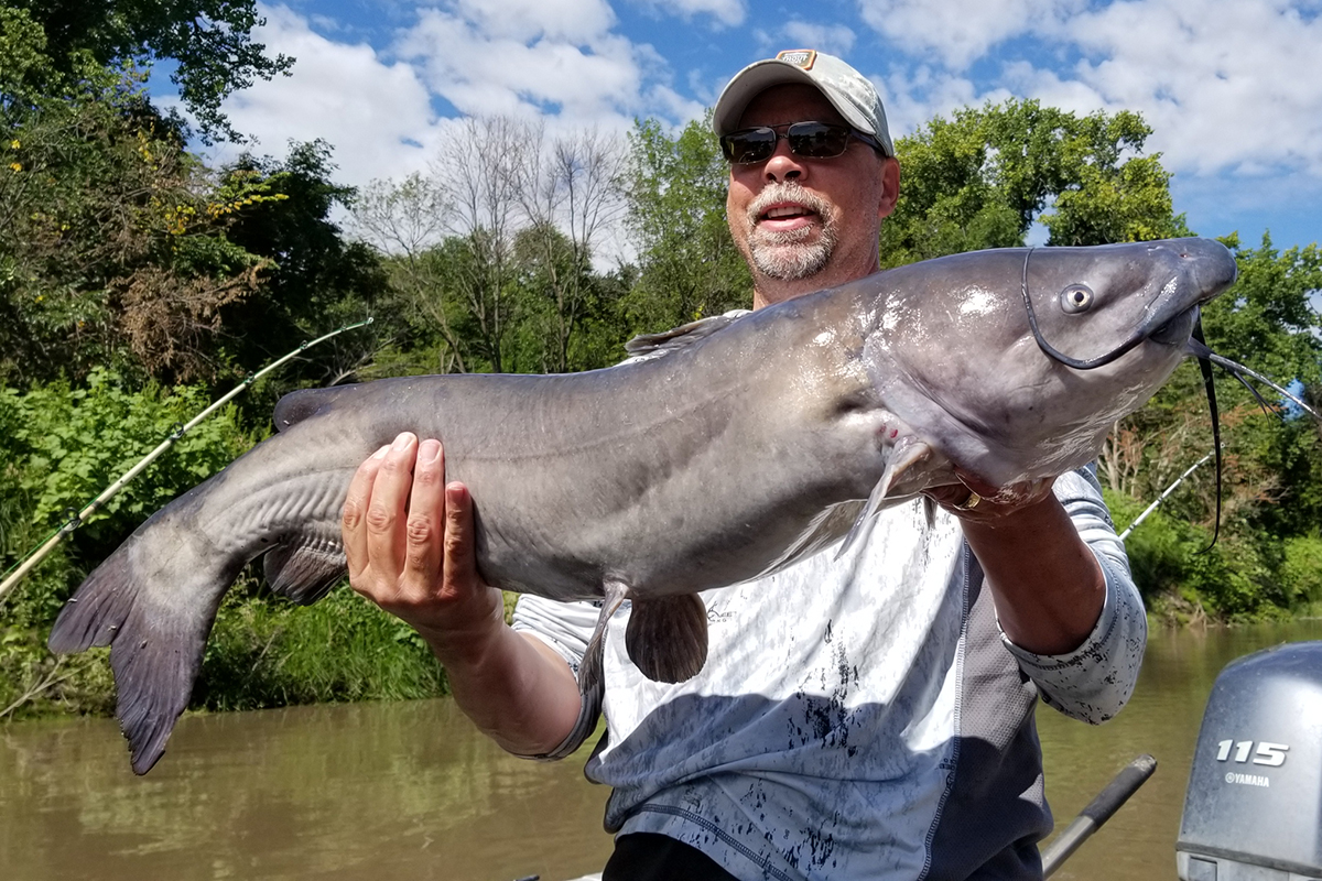 Changes in Weather Bring Changes to Catfishing - MidWest Outdoors