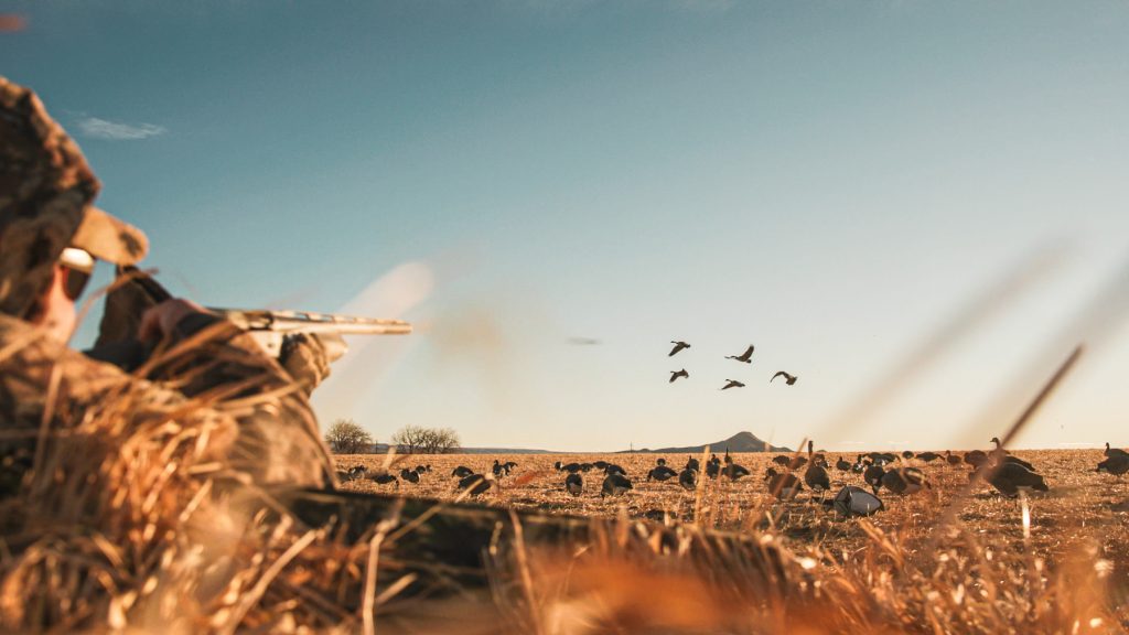 25 Years of Shotshell Innovation: The Evolution of Kent Cartridge ...