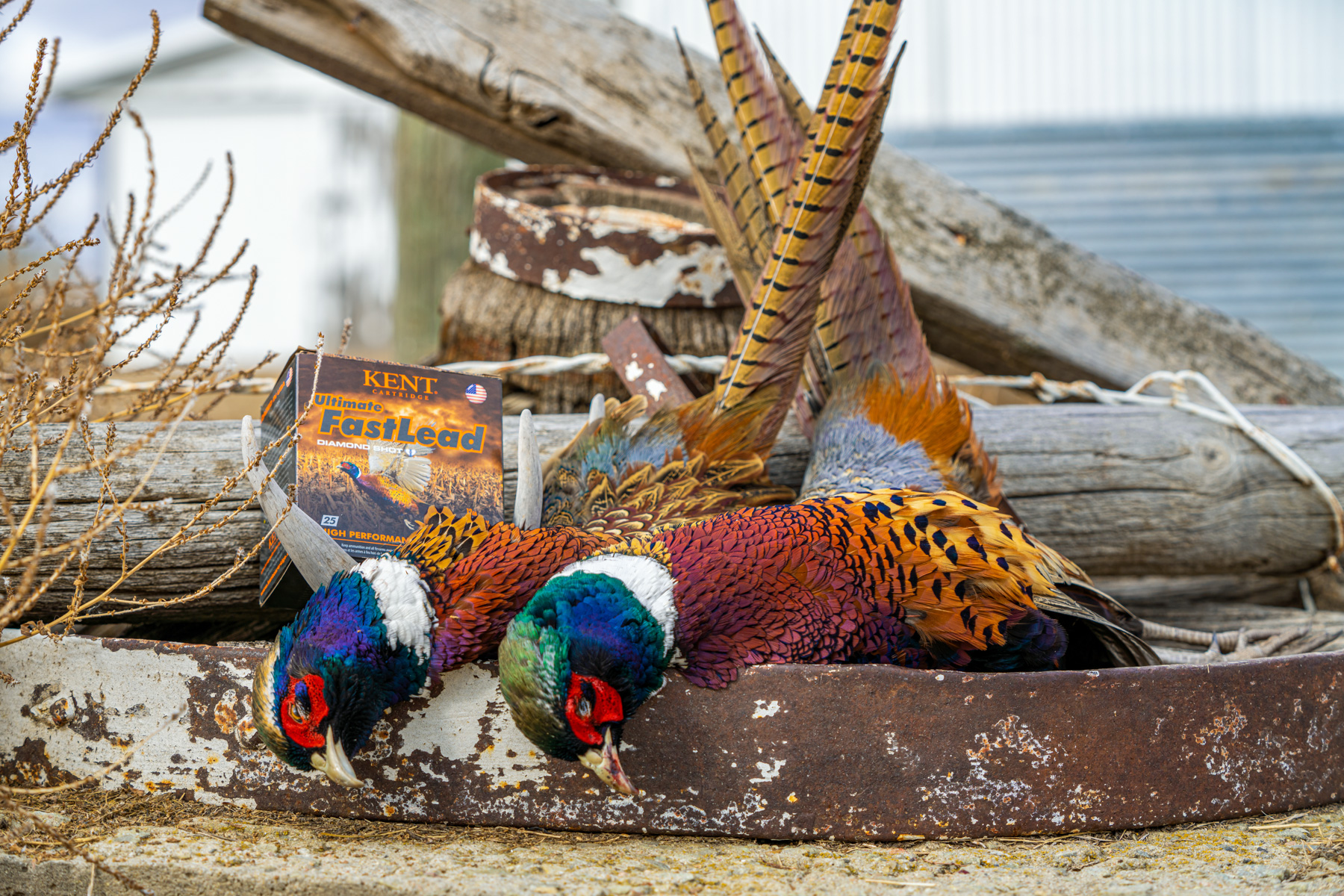 25 Years of Shotshell Innovation: The Evolution of Kent Cartridge ...