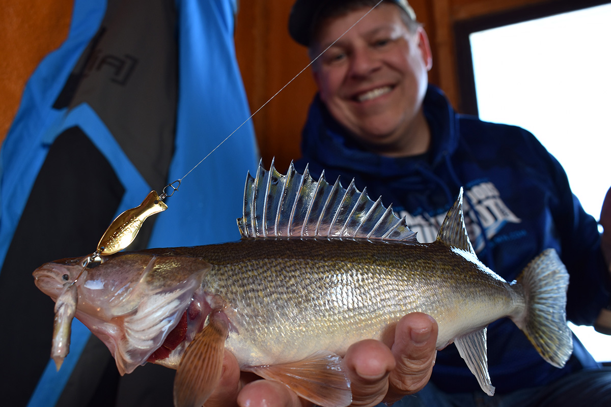 Ten Reasons Why Sauger are Ever-So-Valuable - MidWest Outdoors