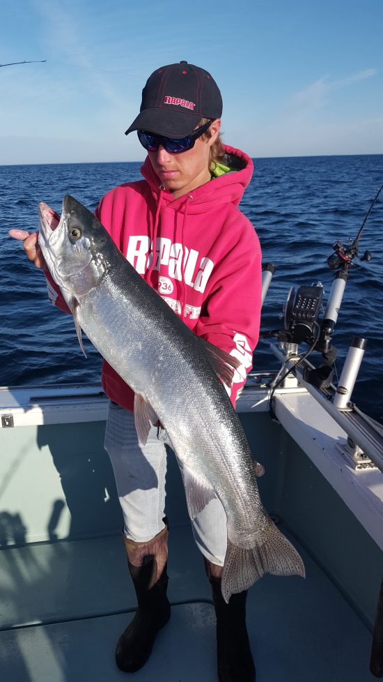 Capt. Lee Haasch is Chasing Steelhead - MidWest Outdoors