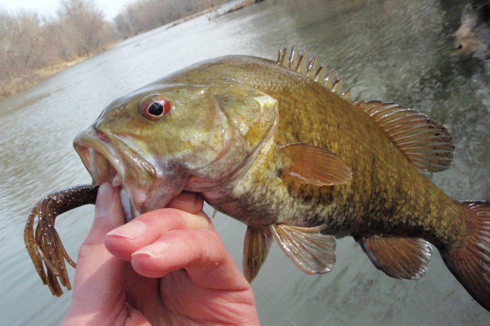Bennett-WhyFishRivers image - MidWest Outdoors