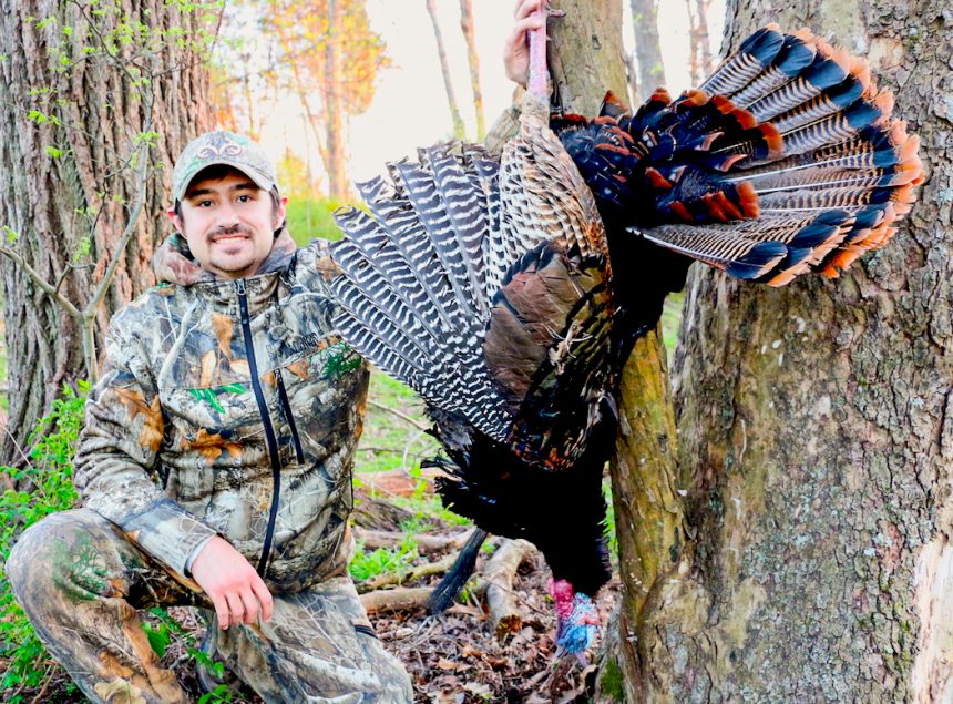 A Turkey’s Top 7 Secrets - MidWest Outdoors