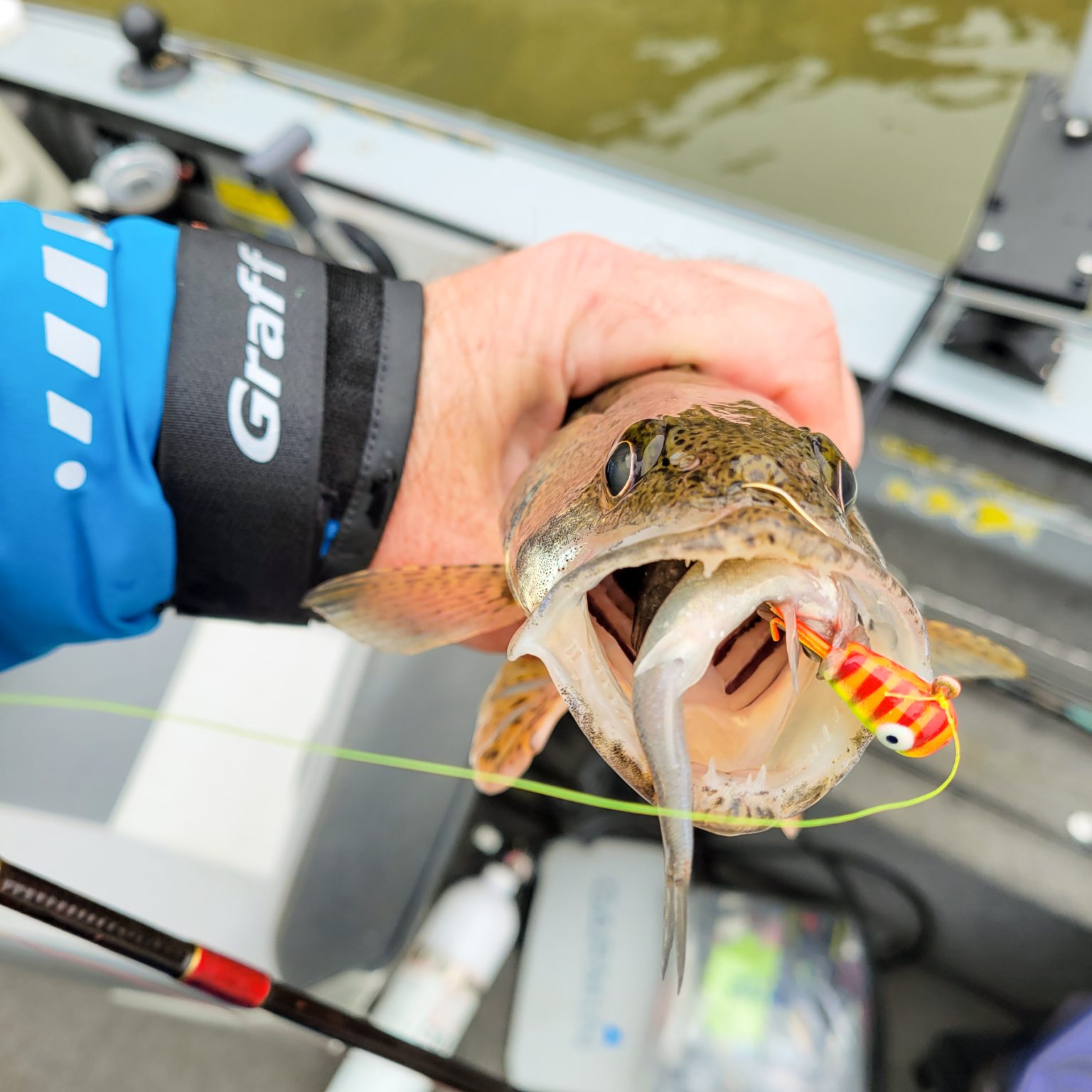 Hot Walleye Action Right Now! - MidWest Outdoors