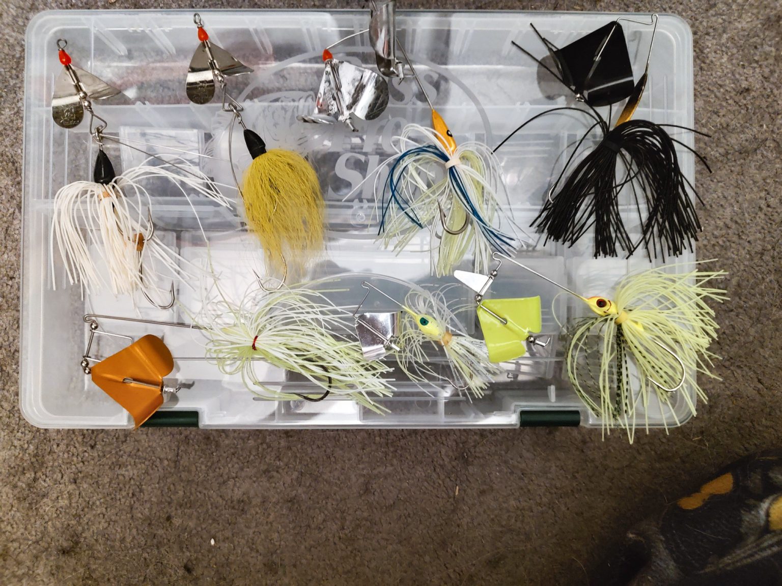 Buzzin’ for Bigmouths - MidWest Outdoors