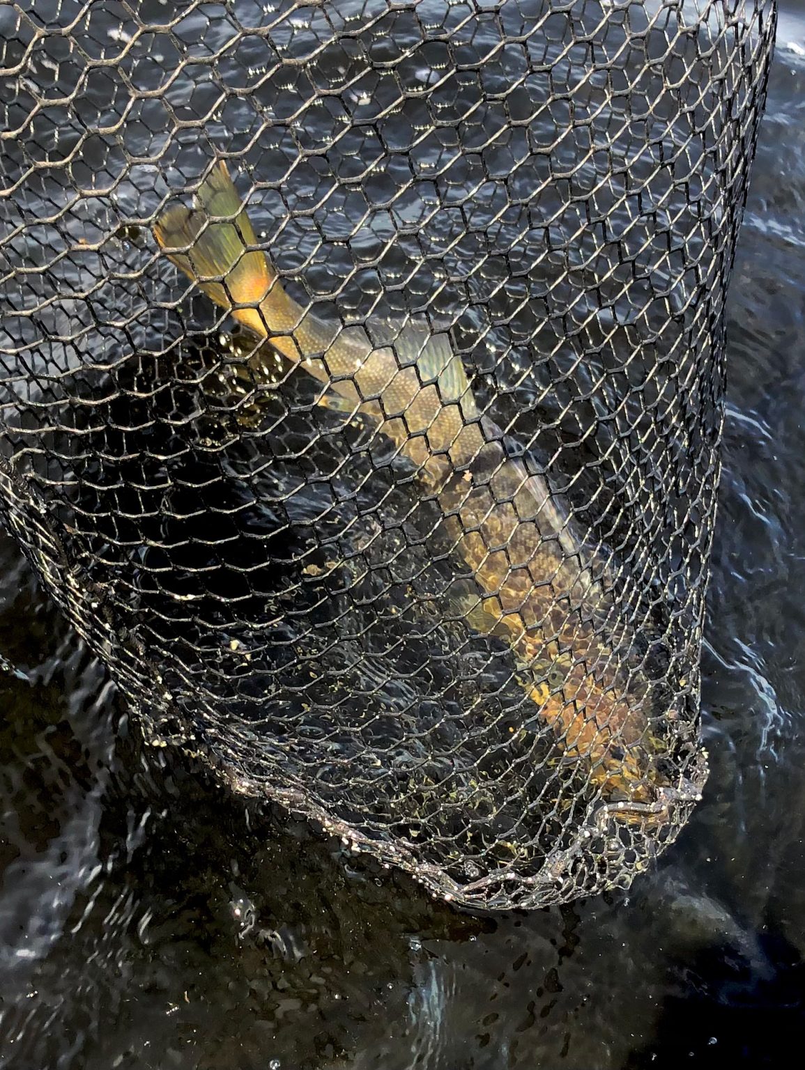 Avoiding Nagging Snags on Rocky Structure - MidWest Outdoors