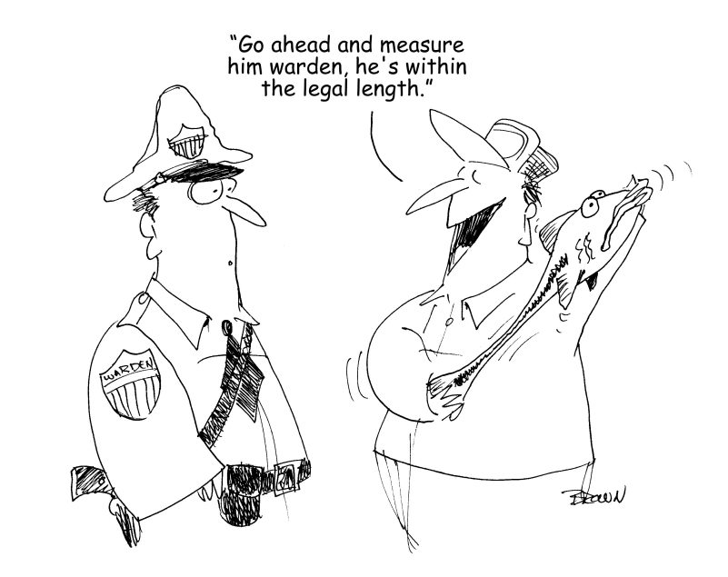 CartoonJoeBrownstretch fish.BMP - MidWest Outdoors