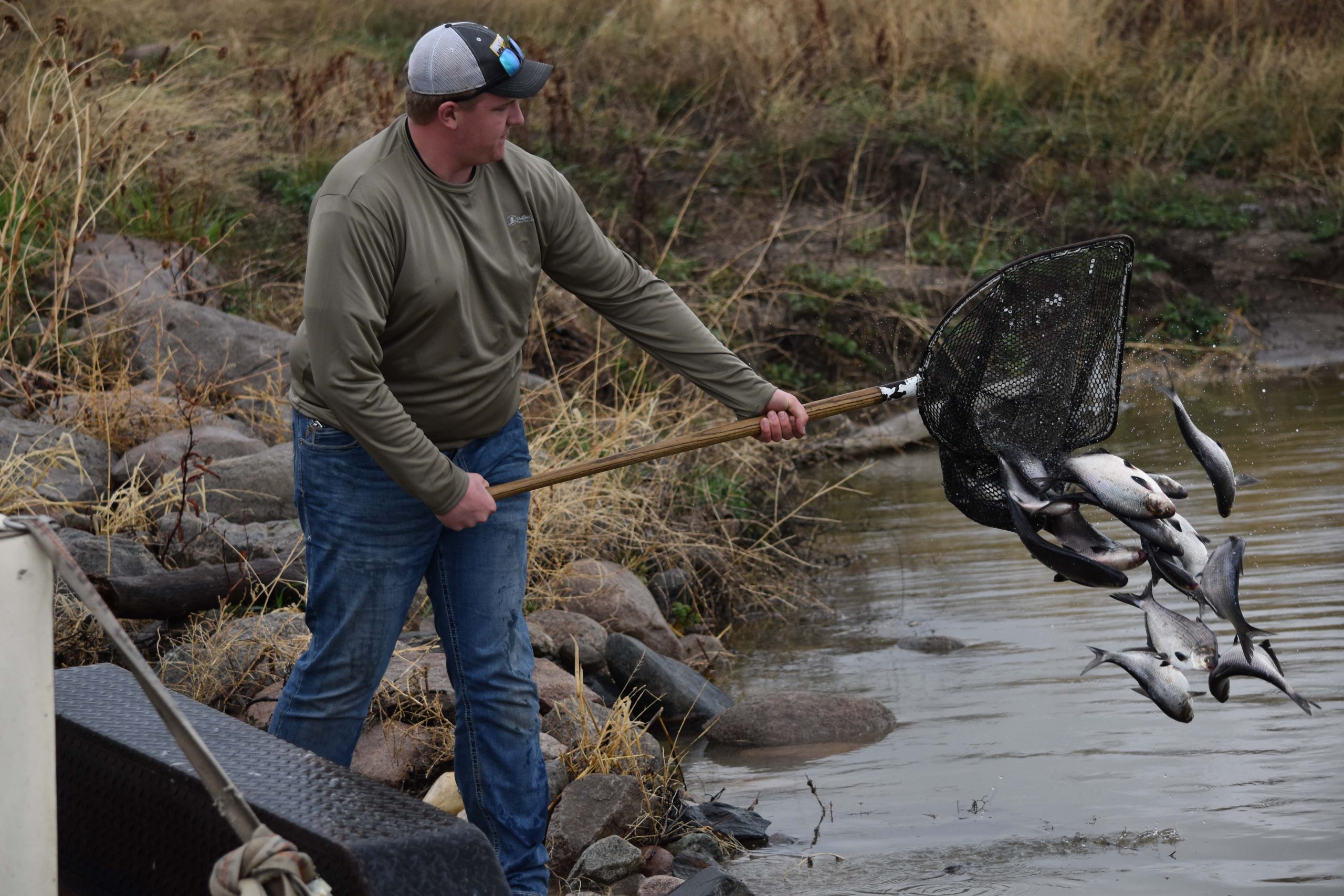 Homepage - MidWest Outdoors