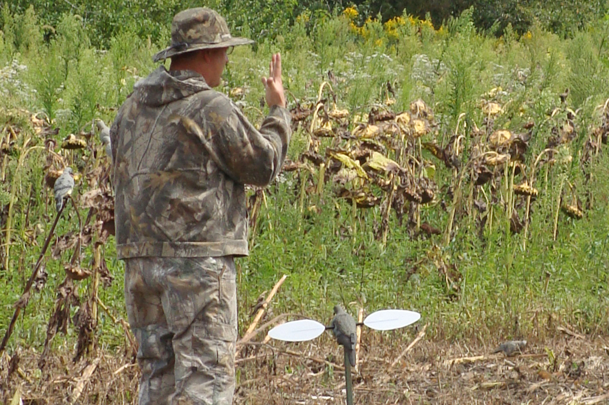 Tactics for Dove Hunting Success - MidWest Outdoors