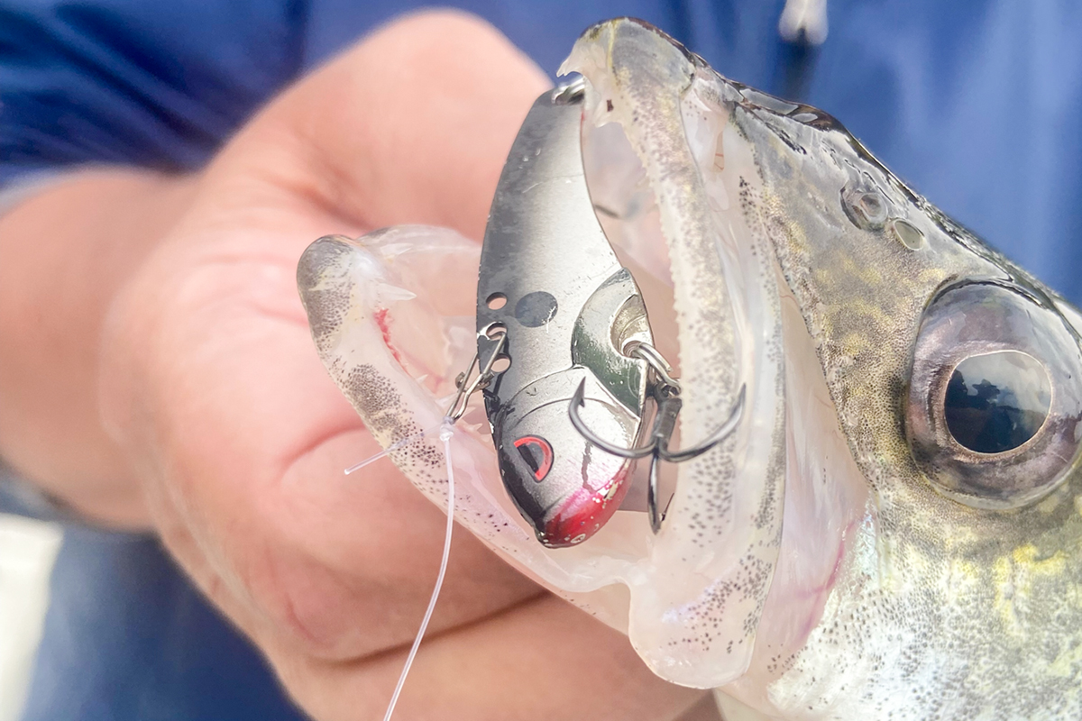 Trigger Fish with These Methods - MidWest Outdoors