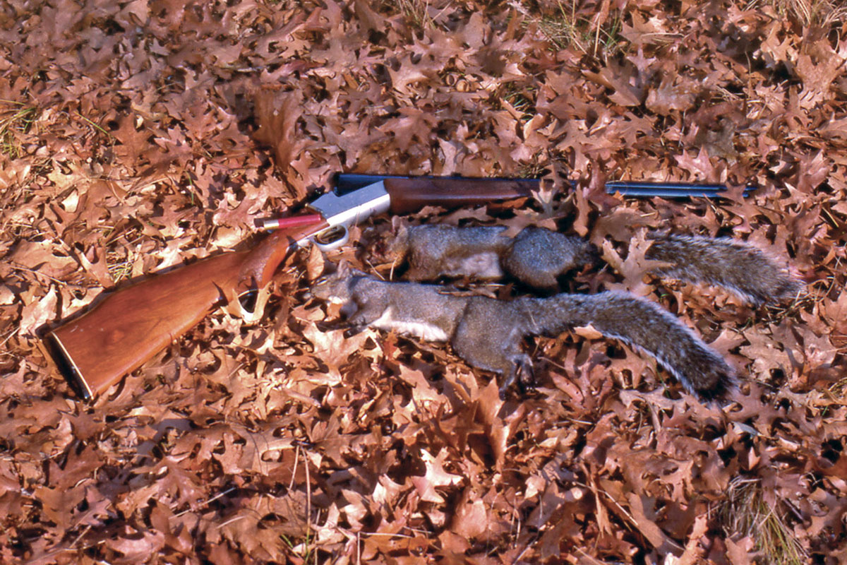 Squirrel Hunting Provides Good Practice - MidWest Outdoors