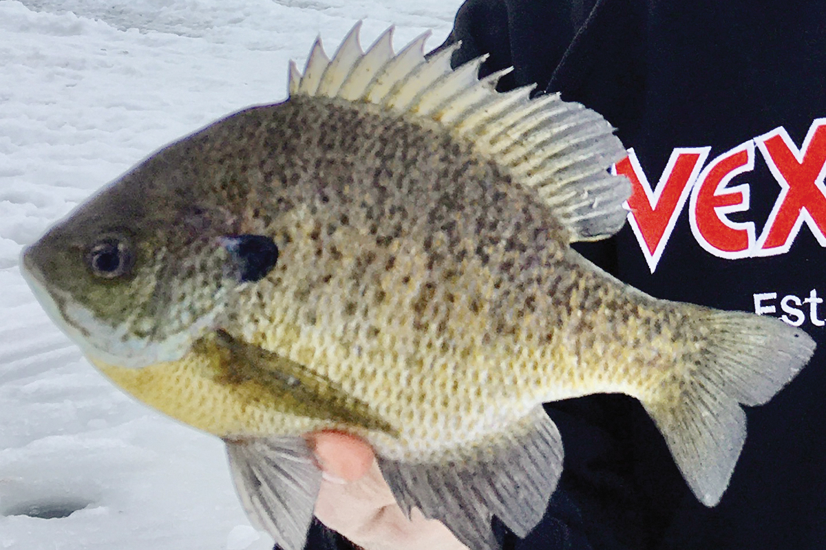 Hagemeister-SpoonFedPanfish image - MidWest Outdoors