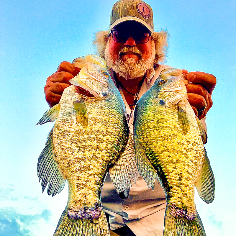 Breaking Down Big Brush for Big Crappies - MidWest Outdoors Breaking Down Big Brush for Big Crappies - MidWest Outdoors