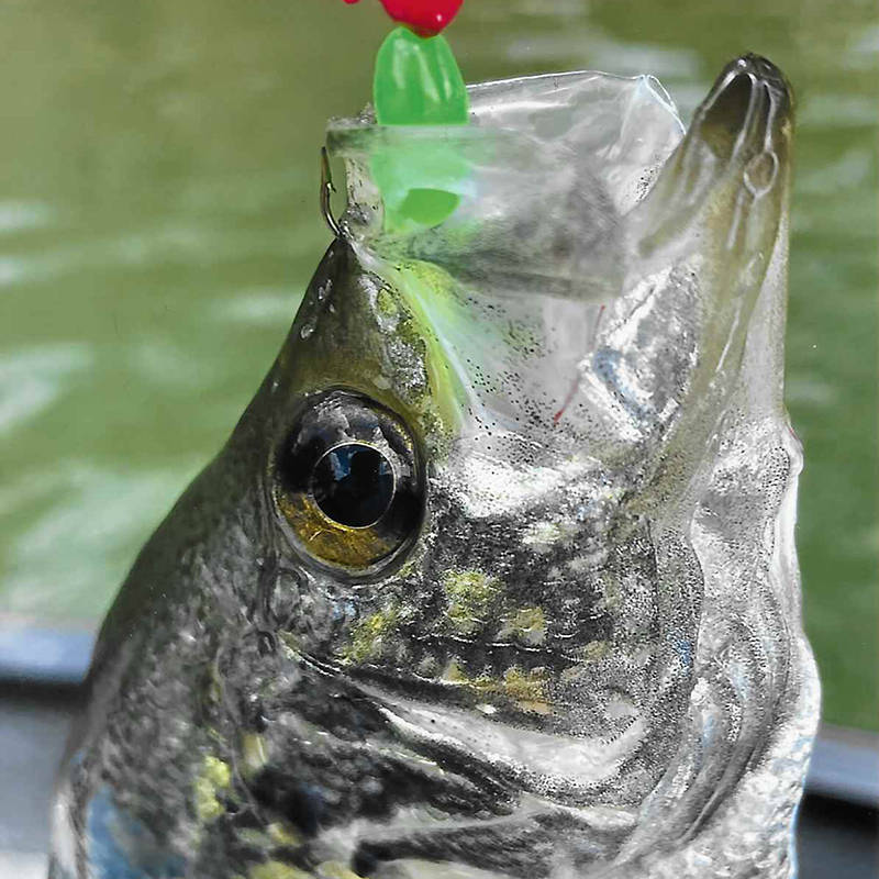 Floating Crappie Lights Gapen Crappie Float