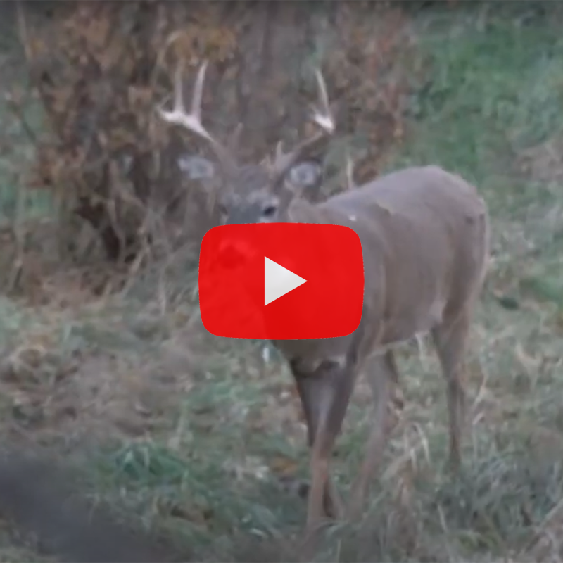 WRC vid image 10-21-24 - MidWest Outdoors