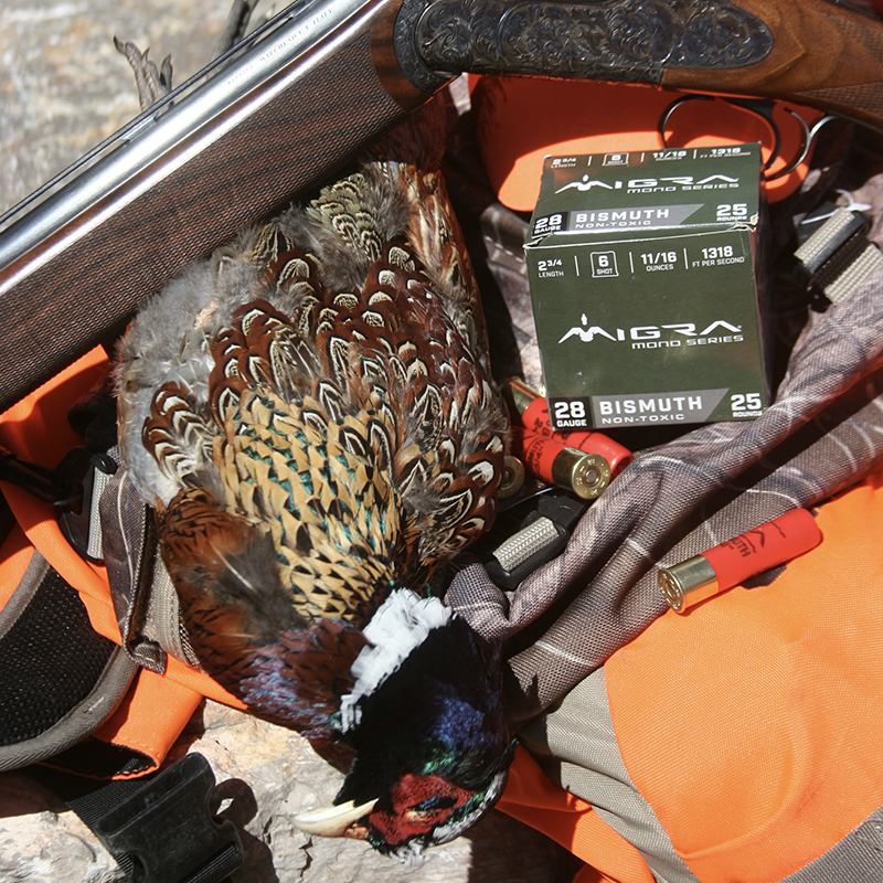 Clay Target Loads Taking to the Lighter Side of Recoil - MidWest Outdoors