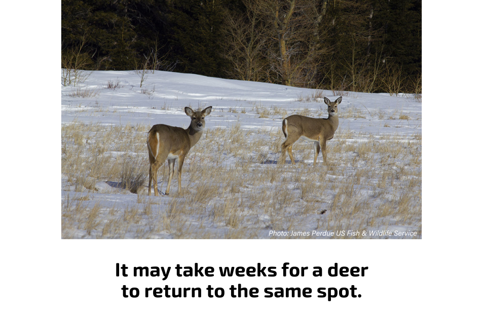 Deer'sSenseOfSmell slides 4a 8-25 - MidWest Outdoors