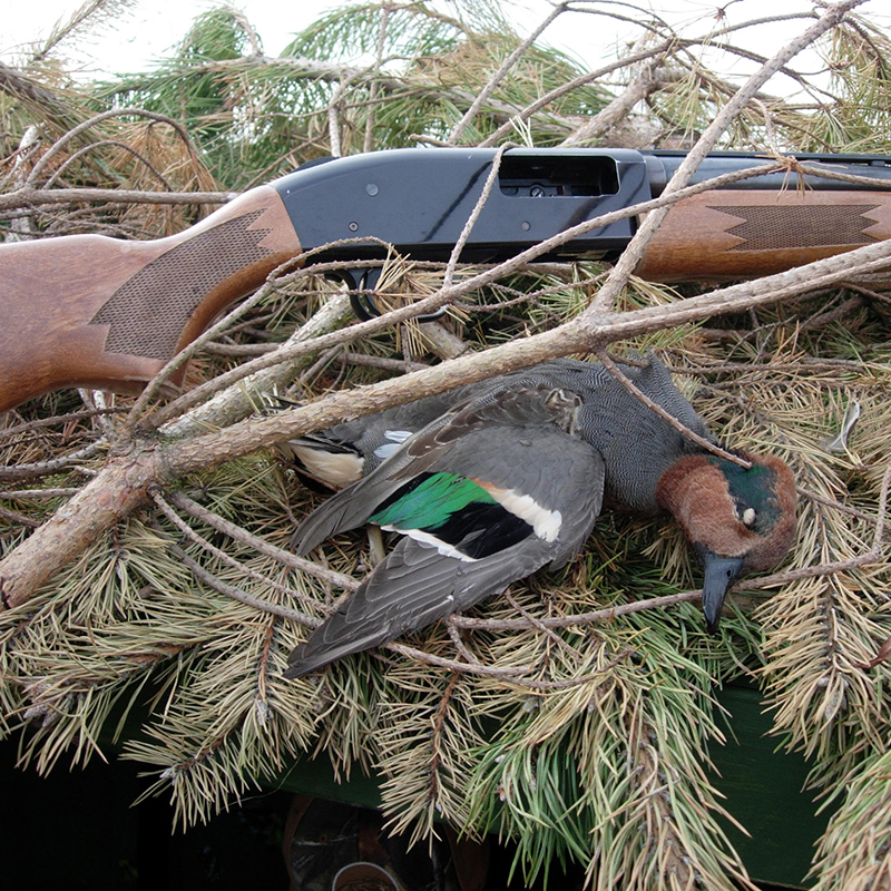 Some Thoughts for Waterfowl Shooting - MidWest Outdoors