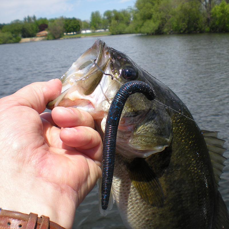An Introduction to Bass Plastics - MidWest Outdoors